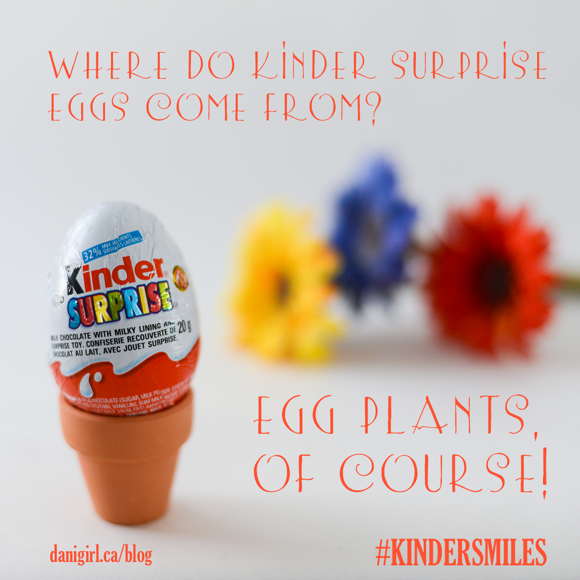 A dozen reasons Kinder eggs are better than chicken eggs — with bonus ...